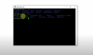 How to Transfer Files Between Laptop and Raspberry Pi? - Technetron ...